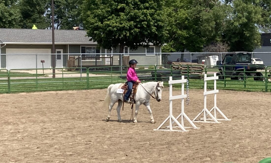 4-H Horse Show starts animal shows at Brown County Fair | News, Sports ...
